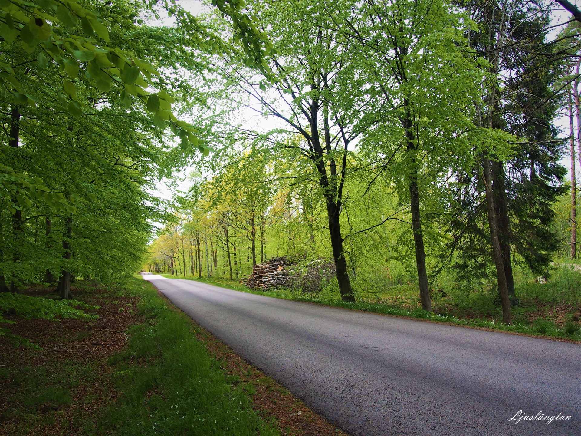 Mina portfolio - Ljuslängtan